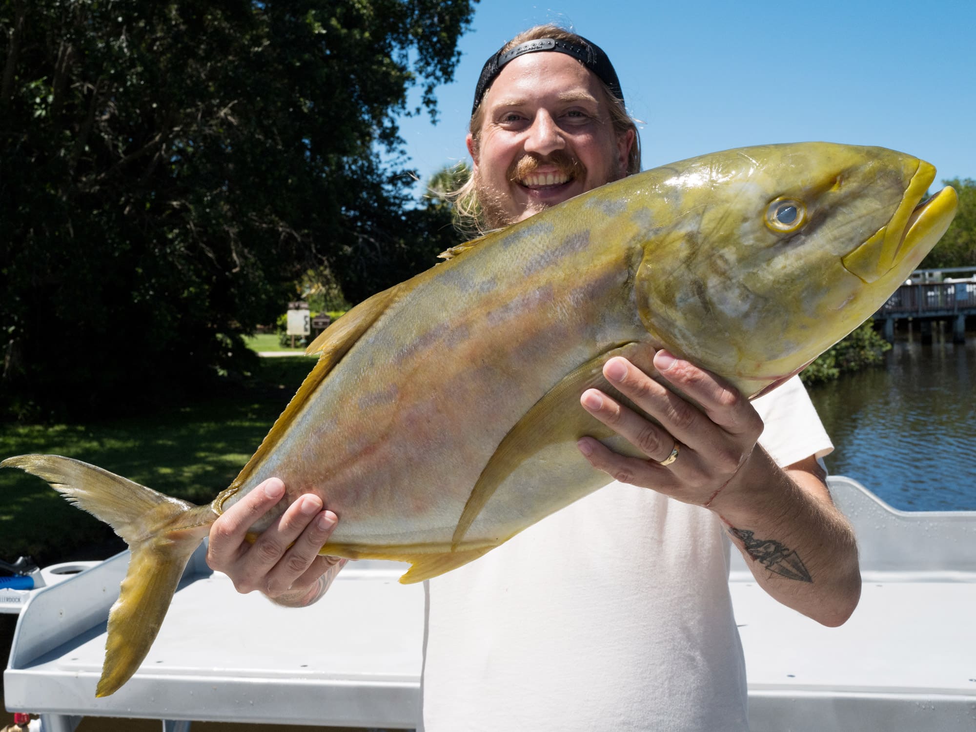 How To Catch and Clean a Yellow Jack